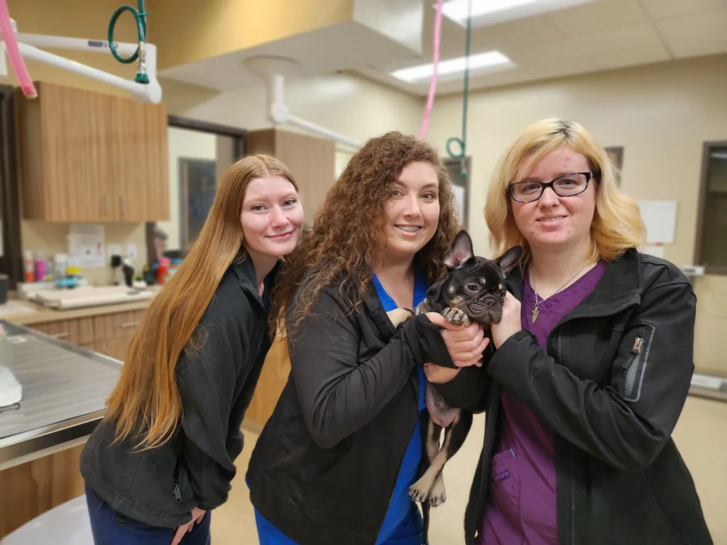 Vet Near Me Ladson, SC 29456 | Ladson Veterinary Hospital